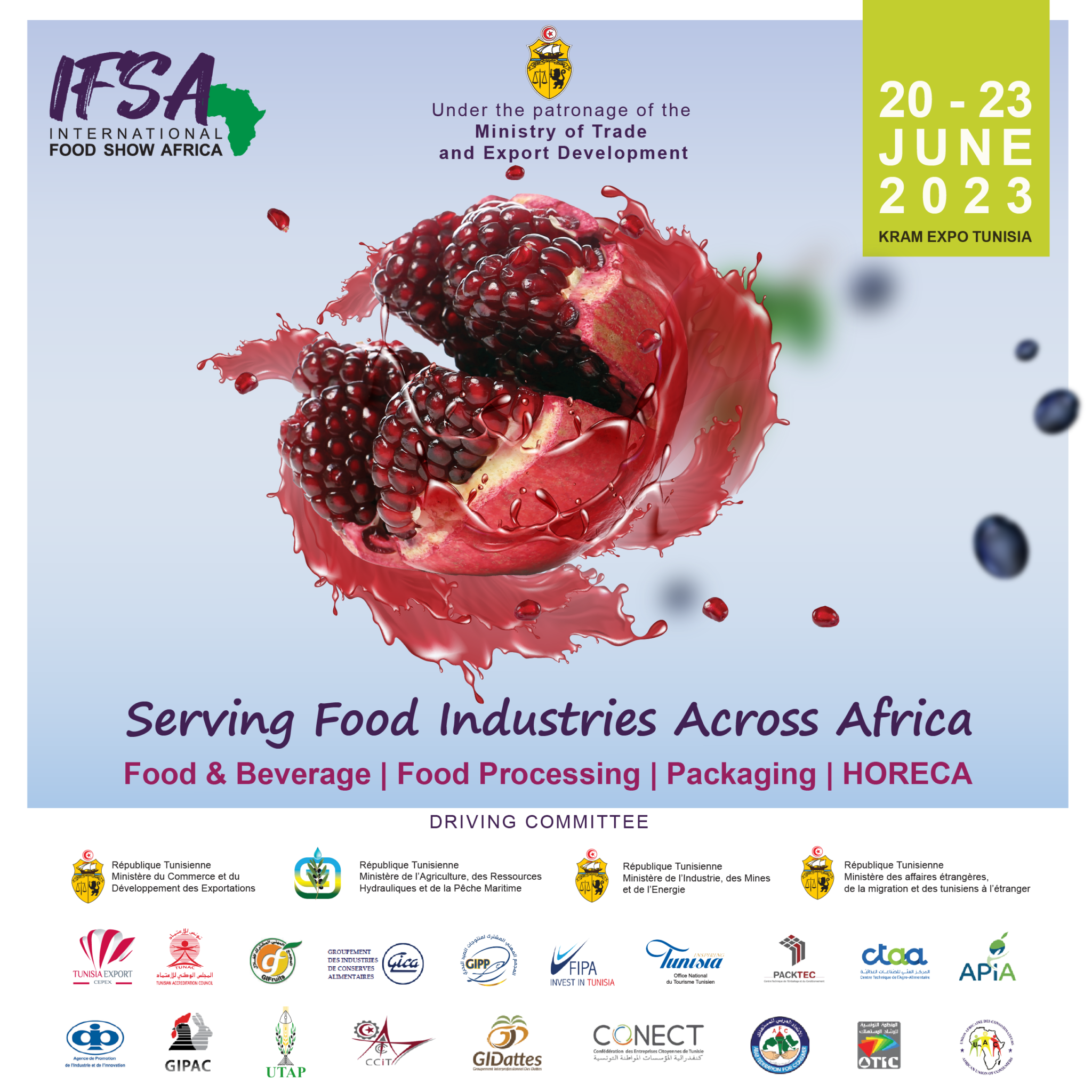 Connect – IFSA Africa