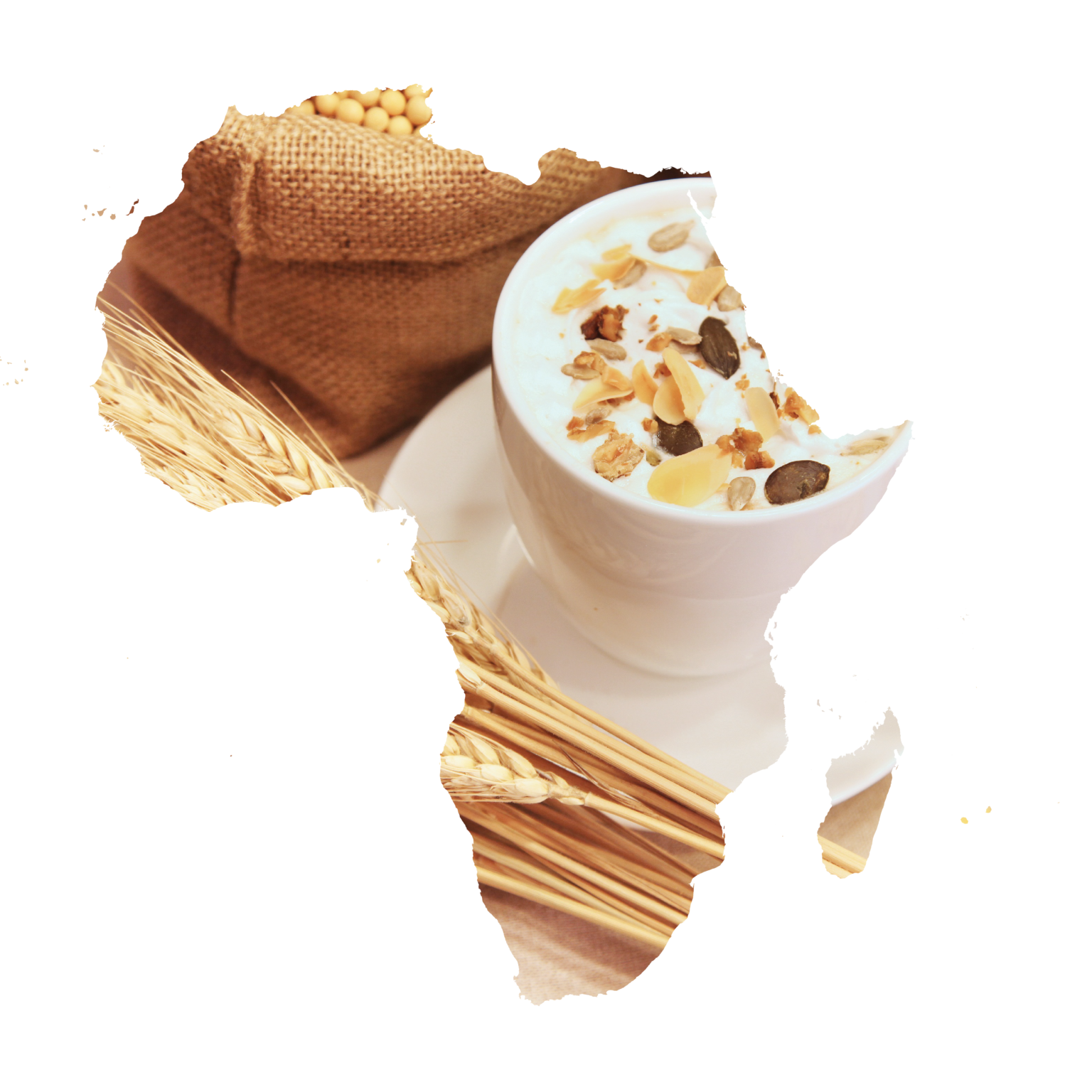 IFSA Africa – International Food Show Africa
